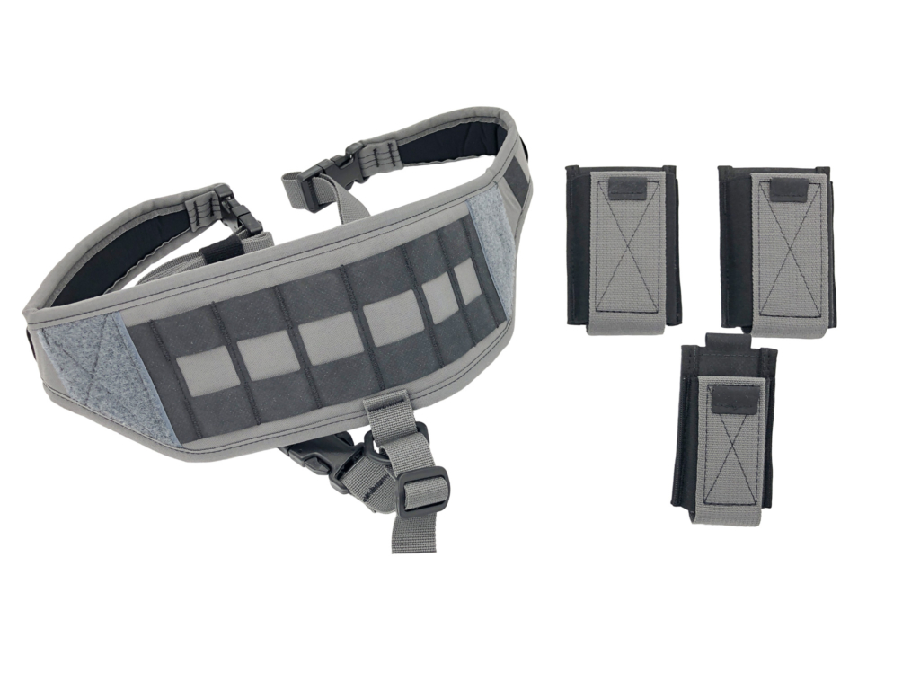 IC13 INVRT BANDOLEER Entry | REALMENT