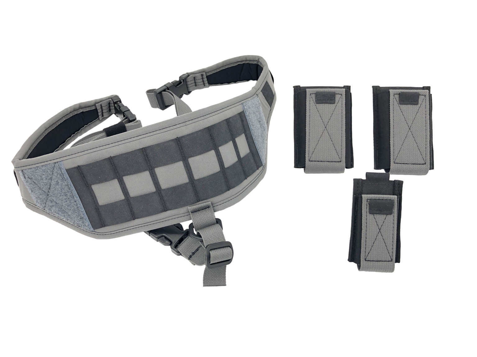 IC13 INVRT BANDOLEER Entry | REALMENT